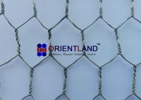 China Galvanized Hexagonal Poultry Netting 30m Roll 0.5m-2m Width for Chicken Run and Garden Protection for sale