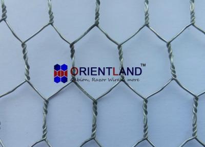 China Galvanized Hexagonal Poultry Netting 30m Roll 0.5m-2m Width for Chicken Run and Garden Protection for sale