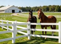 China 2 Rails PVC Horse Fencing Vinyl Horse Fence for sale