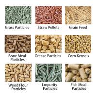 China 1000kg/h Cattle Feed Pellet Mill 22kw Animal Feed Pellet Machine for Poultry Livestock for sale