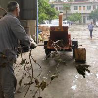 China Tree Branch Wood Chipper Machine Leaf Small Garden Mobile Crusher 55KW for sale