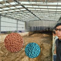 China 5-10t/h Chicken Manure Organic Fertilizer Granules Production Line with Drum Granulator for sale