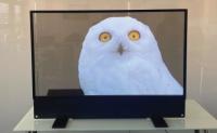 China Customized Ultra Thin OLED Transparent Display with High Brightness and Wide Viewing Angle for Indoor Advertising for sale