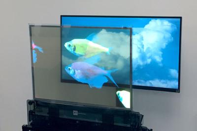 China High Brightness OLED Transparent Display - Full Color Clear Screen with Customizable Sizes and Low Power Consumption for sale