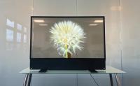 China High Definition OLED Transparent Display with Fast Response Time and Wide Operating Temperature Range for B2B Applications for sale