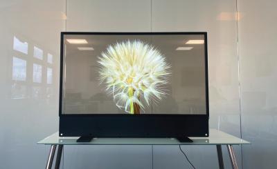 China High Definition OLED Transparent Display with Fast Response Time and Wide Operating Temperature Range for B2B Applications for sale