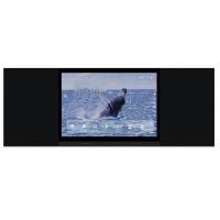 China 86 Inch Smart Digital Blackboard with DLED Display and 1200:1 Contrast Ratio for Interactive Learning for sale