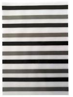 China PVC Coated Overlay Magnetic Stripe Film for Card Production - 0.04-0.10mm Thickness, 12.7mm Stripe Width for sale