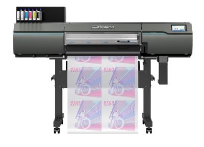 China Roland TY-300 Commercial DTF Printer 1200 dpi 300mm for Direct to Film Printing for sale
