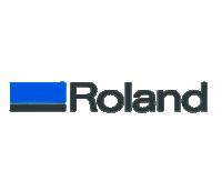 China Roland 21505113 Roller TM-86-A-1 ZBX-500 Original Spare Part for Industrial Machinery for sale