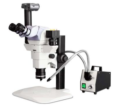 China Parallel Optical Path Stereo Microscope iqualitrol iStereo-SZ66 with Magnification 6.8x-45x for sale
