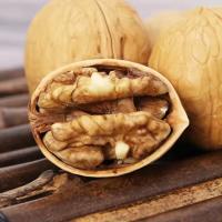 China New Crop Organic Bulk Wholesale Paper Walnut China Top Nuts and Dried Fruits Raw Paper Dried Garcinia Fruit 3% Max 5% for sale