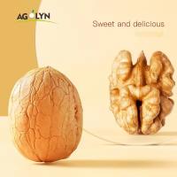 China New Crop Organic Bulk Wholesale Paper Walnut China Top Nuts and Dried Fruits Raw Paper Dried Garcinia Fruit 3% Max 5% for sale