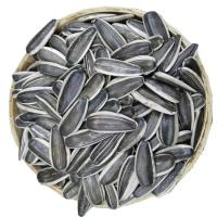 China Sunflower Seeds From Inner Mongolia Factory direct High quality T5 sunflower seeds to eat for sale