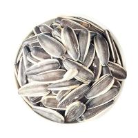 China Sunflower Seeds From Inner Mongolia Factory direct High quality T5 sunflower seeds to eat for sale