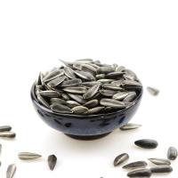 China Sunflower Seeds From Inner Mongolia Factory direct High quality T5 sunflower seeds to eat for sale