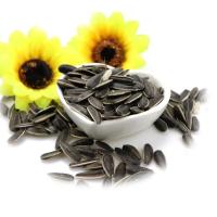 China Sunflower Seeds From Inner Mongolia Factory direct High quality T5 sunflower seeds to eat for sale
