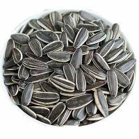 China Sunflower seeds in shell Sunflower Seeds 5009 Dried raw sunflower seed kernels for sale for sale