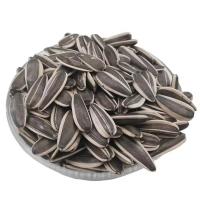 China Raw Materials Price factory Supply China raw sunflower seeds ready for loading for sale