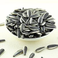 China Raw Materials Price factory Supply China raw sunflower seeds ready for loading for sale