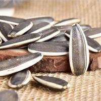 China Raw Materials Price factory Supply China raw sunflower seeds ready for loading for sale