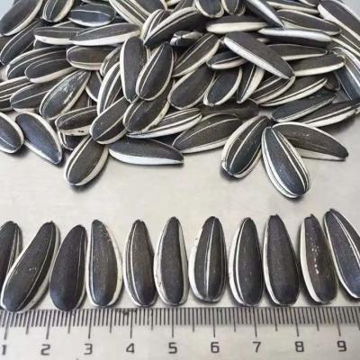 China Wholesale bulk biggest size Raw Sunflower Seeds Black White 361 Amazon’s best-selling products for sale