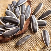 China Sunflower Kernel I Level The Perfect Ingredient for Snack Innovation for sale
