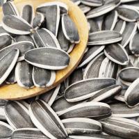 China Wholesale bulk biggest size Raw Sunflower Seeds Black White 361 Amazon’s best-selling products for sale