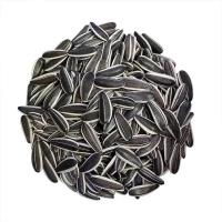 China Wholesale bulk biggest size Raw Sunflower Seeds Black White 361 Amazon’s best-selling products for sale