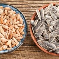 China Inner Mongolia Seeds Sunflower Seeds In Bulk and export to all over the world Best seller on Amazon for sale