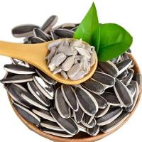 China organic sunflower seeds with cheap price in 2024 from factories in China Hot sale 361 363 5009 3638 T5 for sale