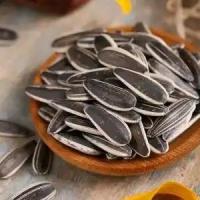 China organic sunflower seeds with cheap price in 2024 from factories in China Hot sale 361 363 5009 3638 T5 for sale