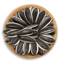 China organic sunflower seeds with cheap price in 2024 from factories in China Hot sale 361 363 5009 3638 T5 for sale