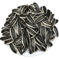 China organic sunflower seeds with cheap price in 2024 from factories in China Hot sale 361 363 5009 3638 T5 for sale
