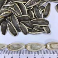 China High Quality Roasted Salted Sunflower Seeds Sunflower Seeds Kernel Style Salty Flavor for sale