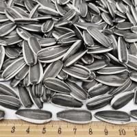 China China Inner Mongolia high quality raw sunflower seeds 363 accept OEM ODM 25kg Amazon’s best-selling products for sale