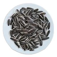 China China Inner Mongolia high quality raw sunflower seeds 363 accept OEM ODM 25kg Amazon’s best-selling products for sale