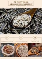 China China Factory Process Five Fragrant Spices Boiled Salted Roasted Sunflower Seeds for sale