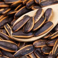 China Amazon hot selling Factory Process Five Fragrant Spices Peeled Caramel Boiled Salted Roasted Sunflower Seeds for sale