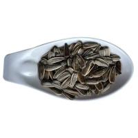 China Factory Bulk wholesale Sunflower Seeds Kernel/Sunflower Seeds Best seller on Amazon for sale