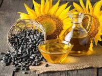 China Factory Bulk wholesale Sunflower Seeds Kernel/Sunflower Seeds Best seller on Amazon for sale