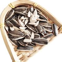 China Factory Bulk wholesale Sunflower Seeds Kernel/Sunflower Seeds Best seller on Amazon for sale