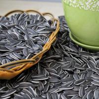 China Amazon hot sale Customized Wholesale Export Southeast Asia Delicious 361 Sunflower Seeds OEM ODM 25kg for sale