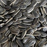 China High-quality sunflower seed raw materials are sold directly from the production area for sale