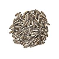 China Amazon hot sale Manufacturers wholesale Inner Mongolia high quality sunflower seed raw materials/bird feed for sale