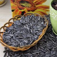 China Amazon hot sale Manufacturers wholesale Inner Mongolia high quality sunflower seed raw materials/bird feed for sale