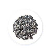 China Amazon hot sell Manufacturers wholesale a large number of sunflower seed raw materials at a cheap price for sale