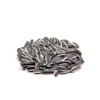 China Buy high-quality sunflower seed raw materials from China at the lowest wholesale prices Amazon’s best-selling products for sale