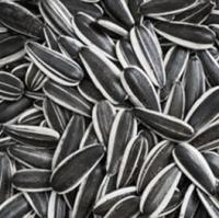 China Buy high-quality sunflower seed raw materials from China at the lowest wholesale prices Amazon’s best-selling products for sale