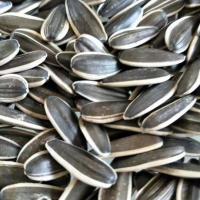 China Buy high-quality sunflower seed raw materials from China at the lowest wholesale prices Amazon’s best-selling products for sale